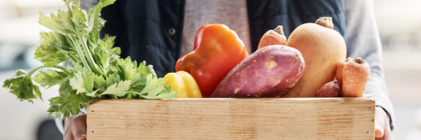 Share Food Program | Static Site