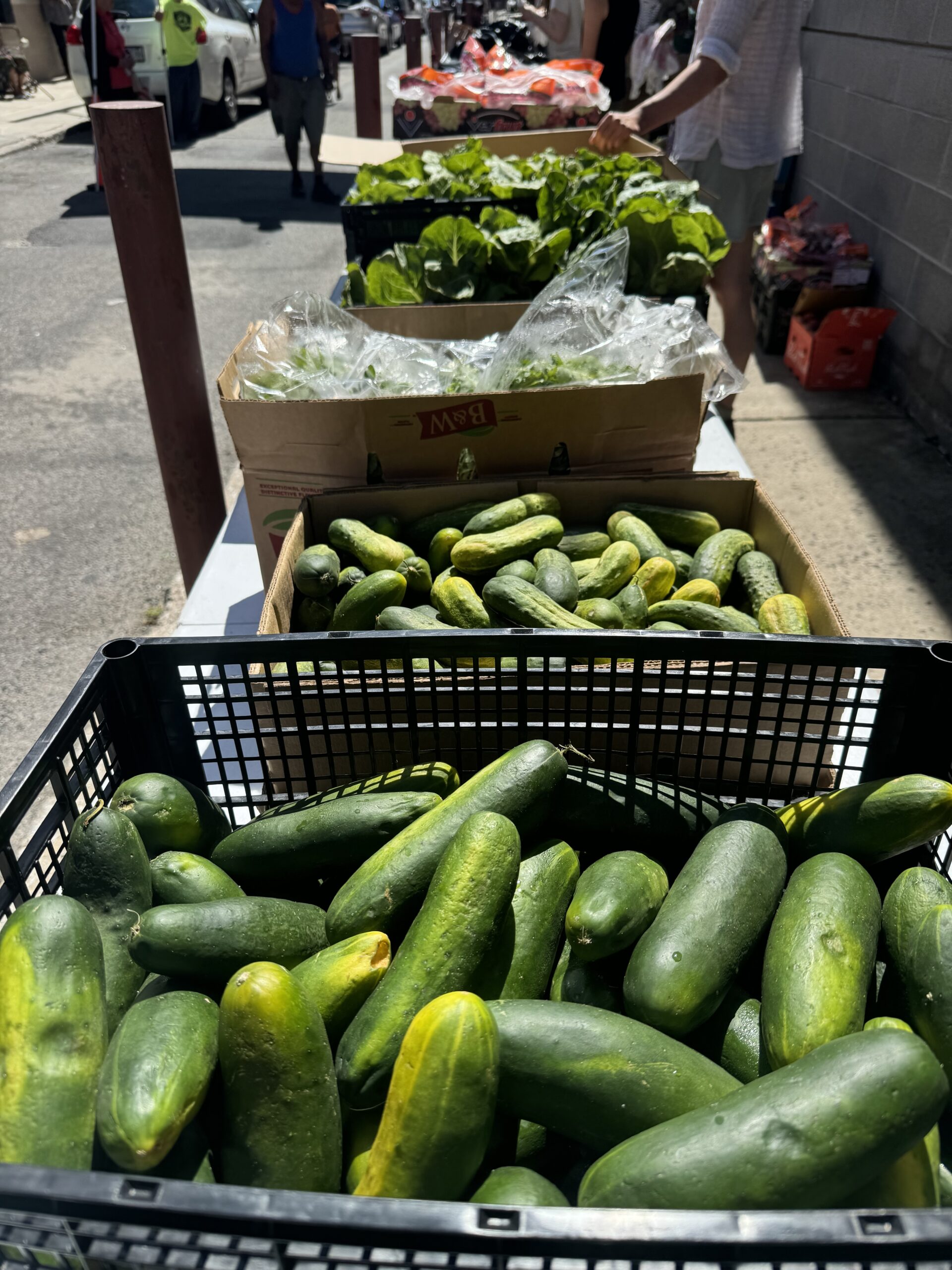 Share Food Program | Free Food in Philly - July 2024 - Share Food Program